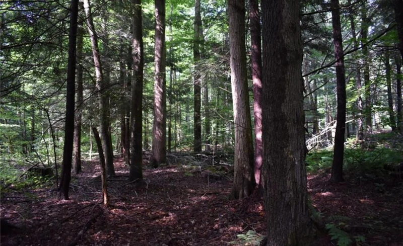 Town of Harmony, NY - Explore